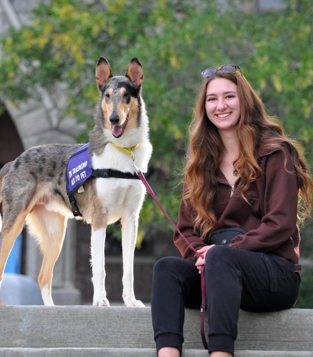 About Us - Bark 4 Joy Dog Training