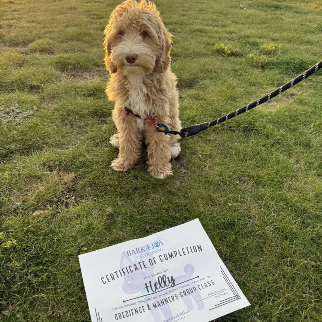 Class Calendar - Bark 4 Joy Dog Training